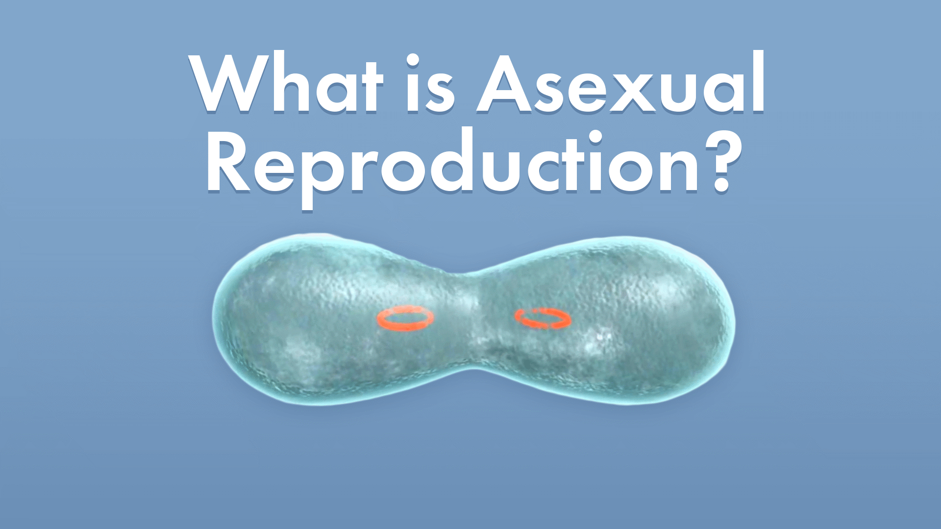 Asexual Reproduction Video & Resources | ClickView