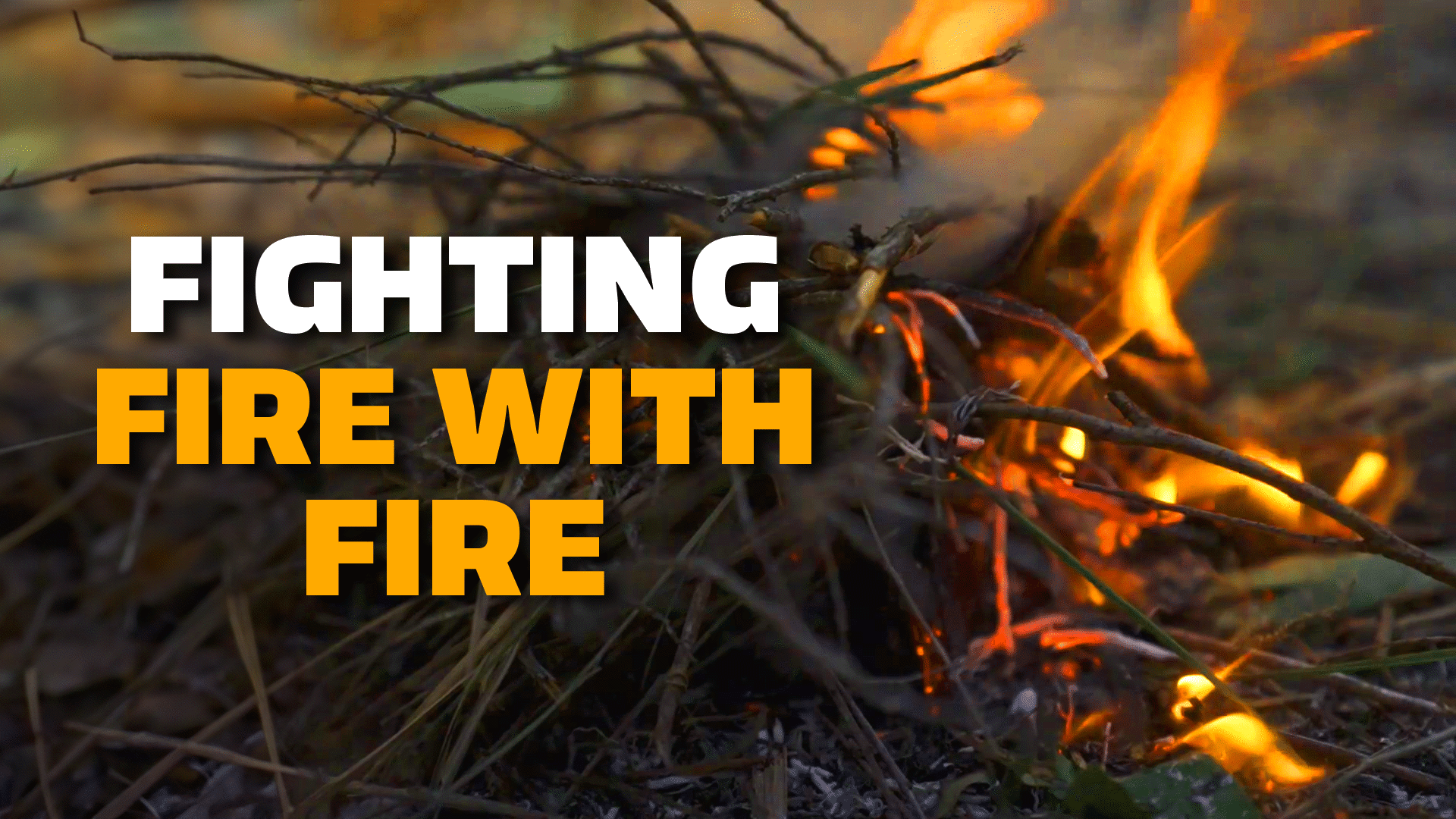 Fighting Fire with Fire Video & Resources | ClickView