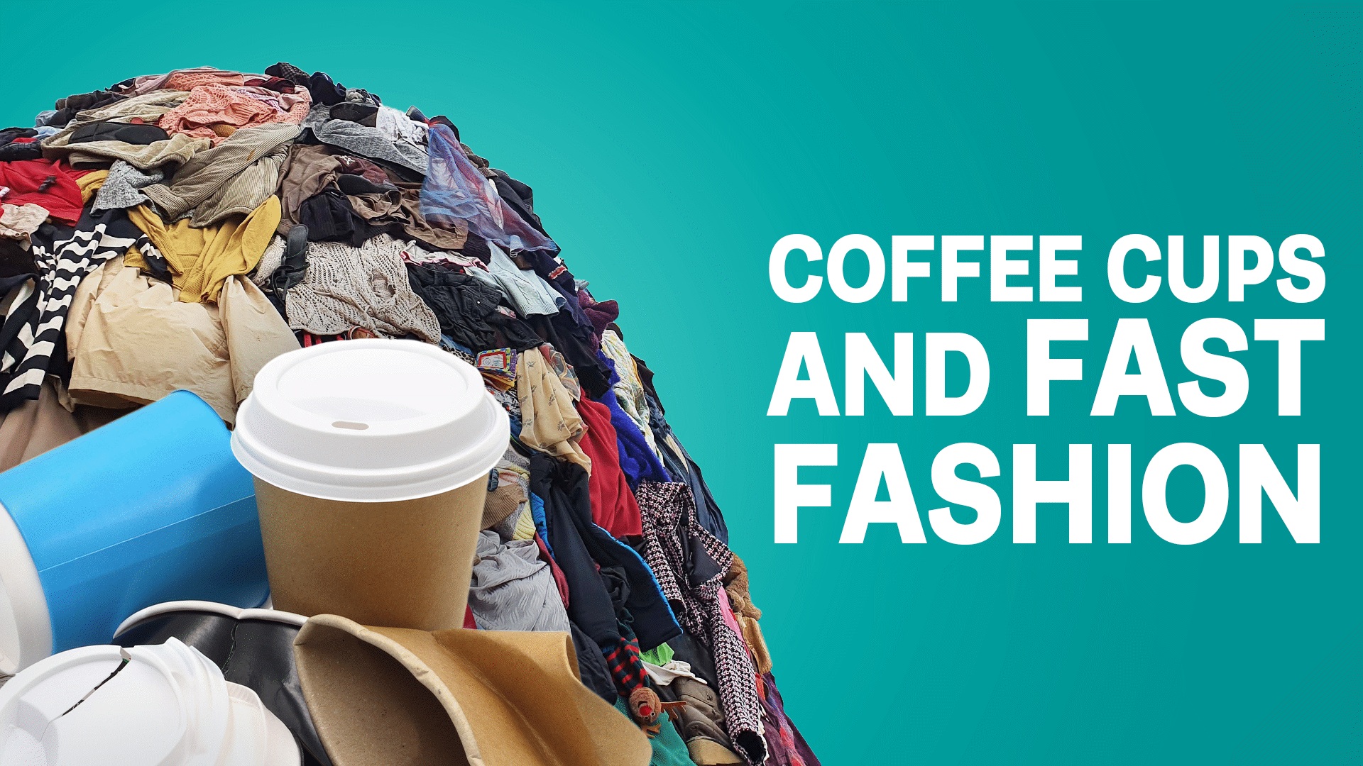 War on Waste Videos & Resources | ClickView