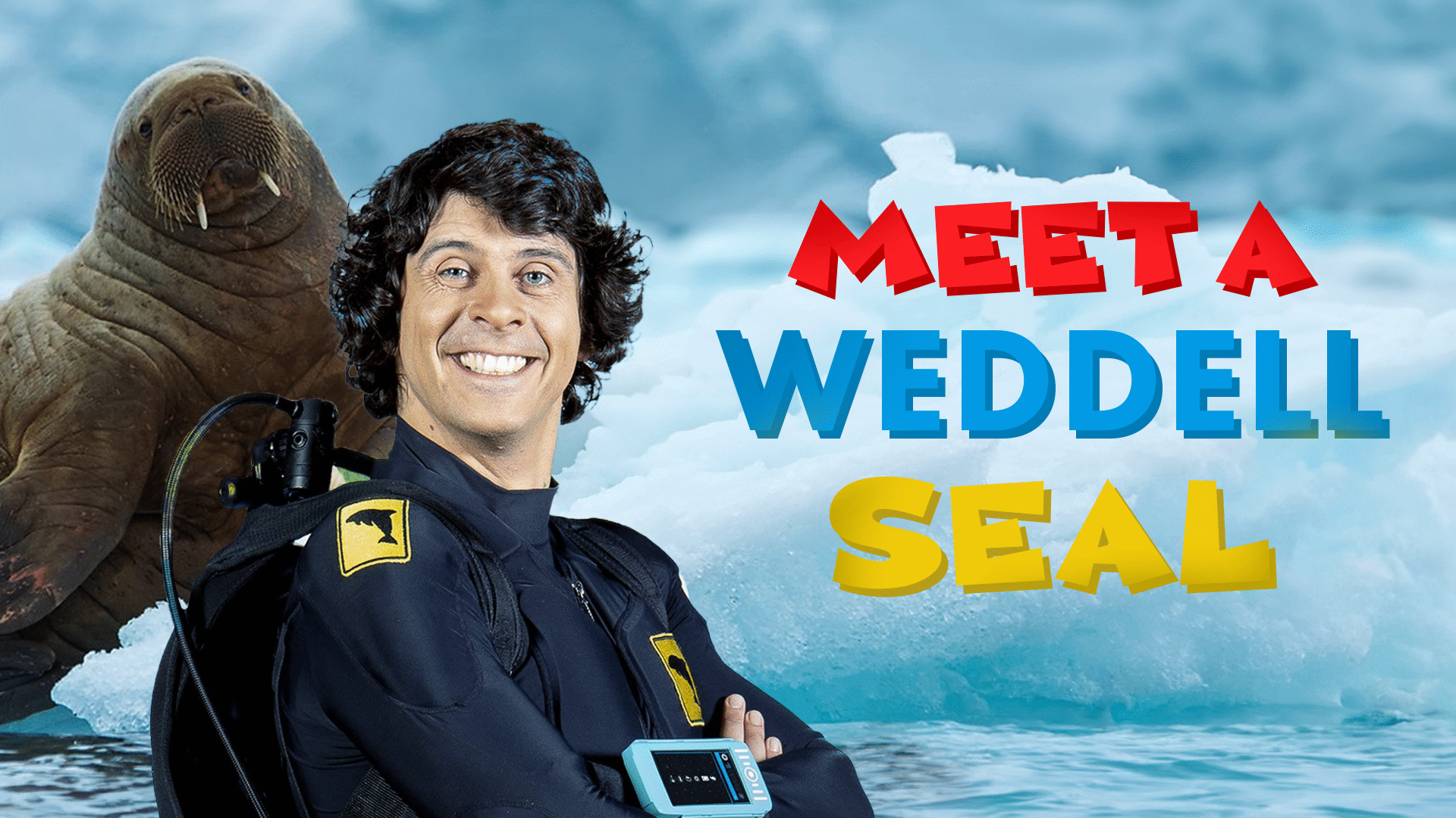 Andy and the Weddell Seals Video & Resources | ClickView