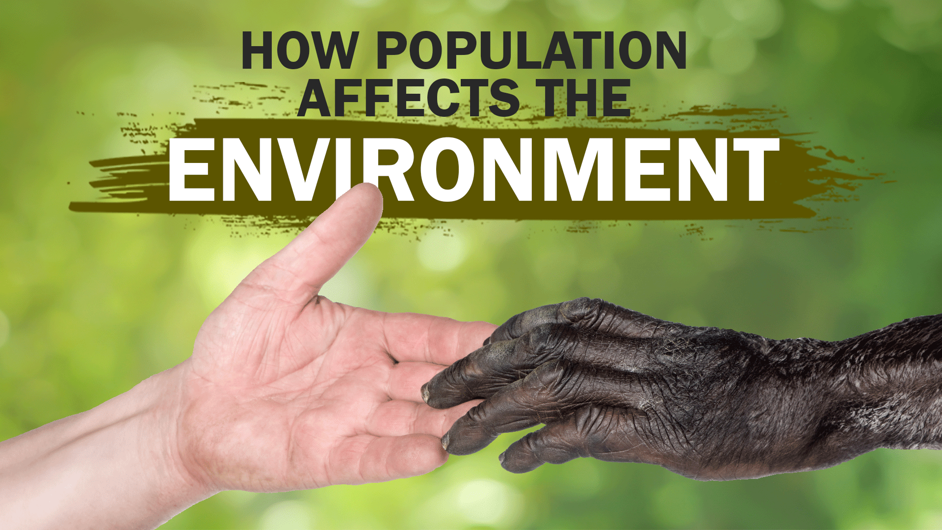 Population and Habitat Change for Wildlife | ClickView