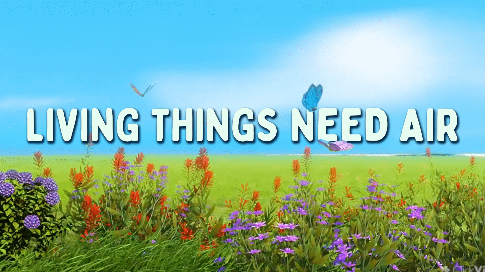How Living Things Depend on Air Video & Resources | ClickView
