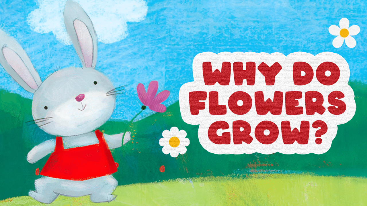 Spring is in the air! Videos, Quizzes & Clips | ClickView