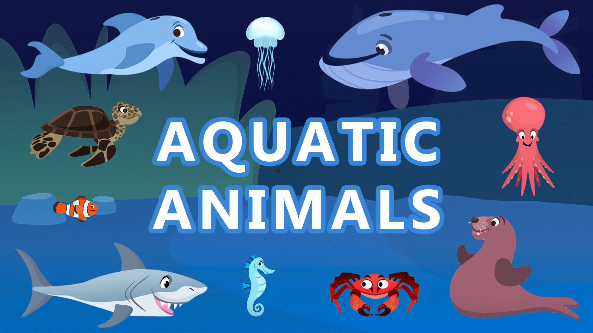 Aquatic Animals Video & Resources | ClickView