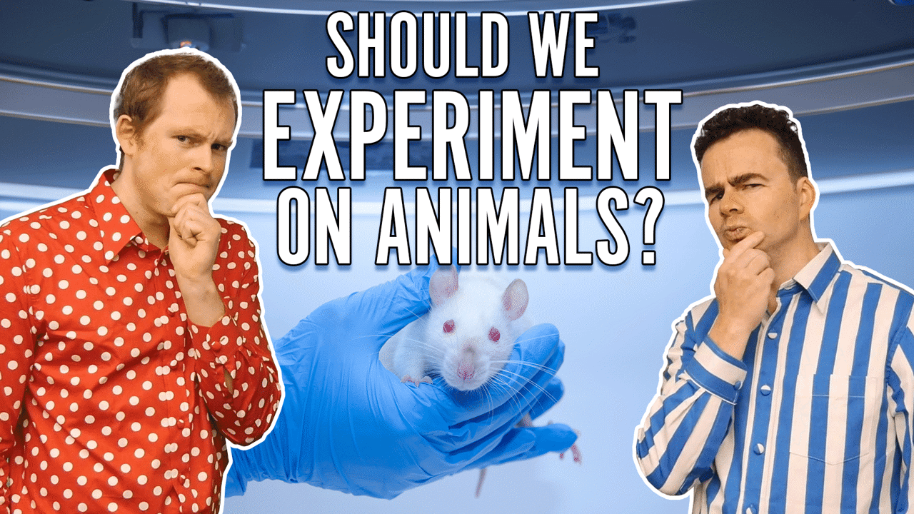 Animal Testing Video & Resources | ClickView