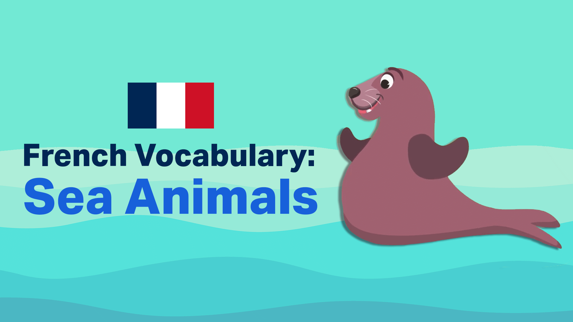 Sea Animals (Les Animaux Aquatiques) | ClickView