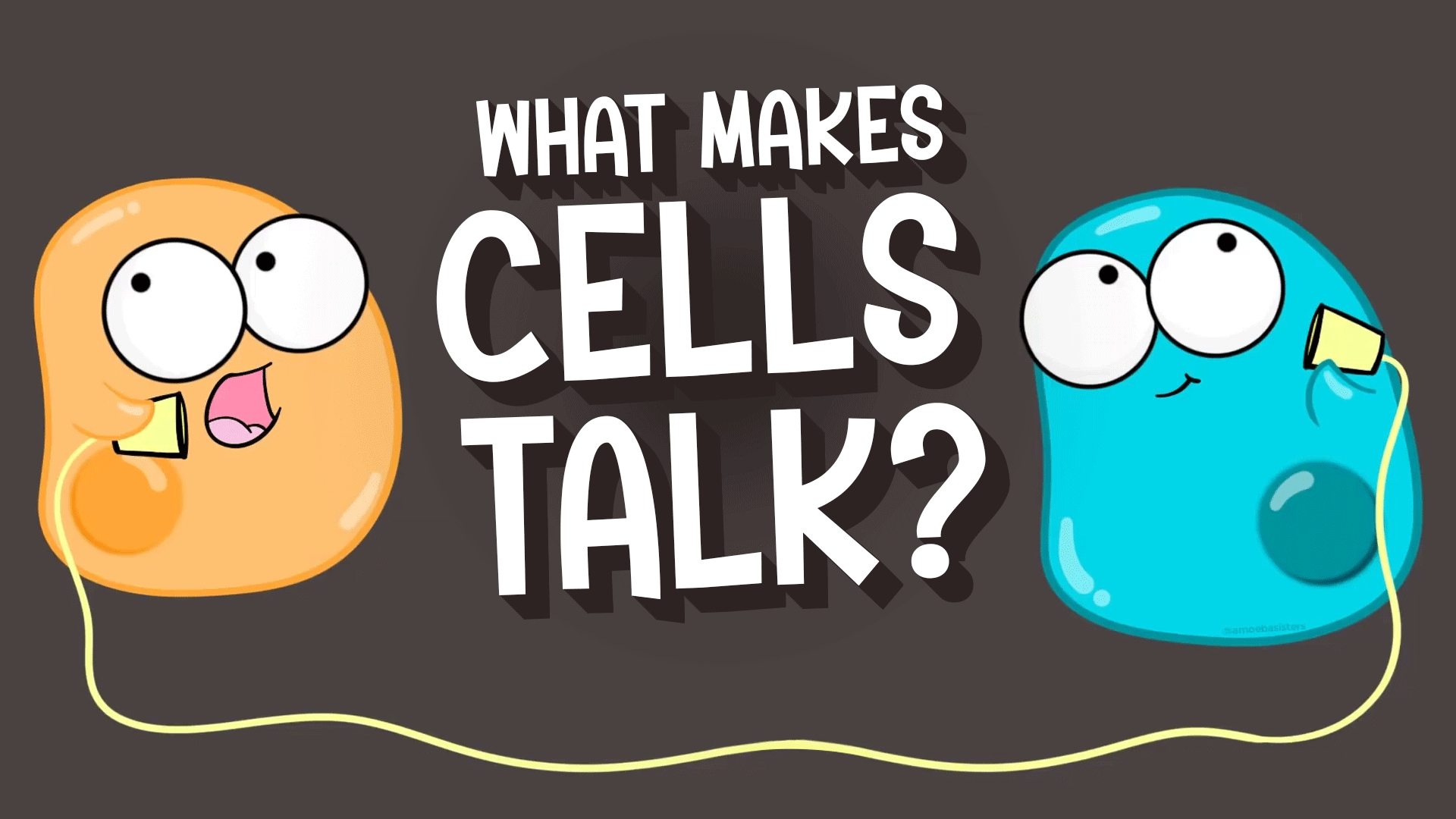 Intro to Cell Signaling Video & Resources | ClickView
