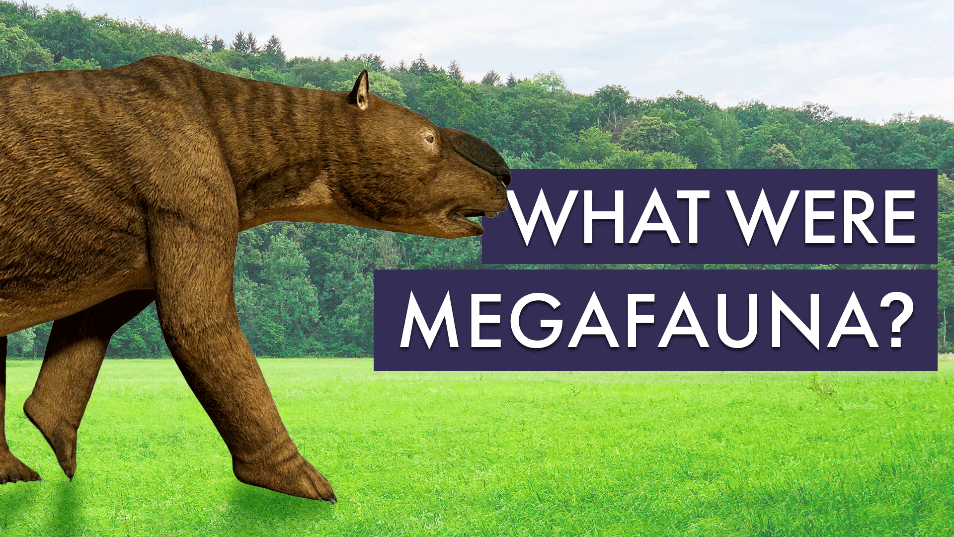 Megafauna Extinction Video & Resources | ClickView