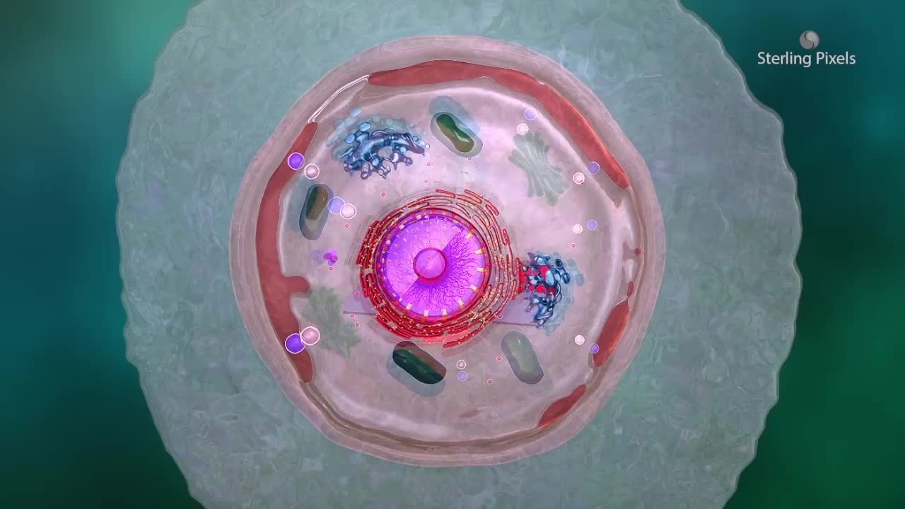 Understanding Life Systems: Cells | ClickView