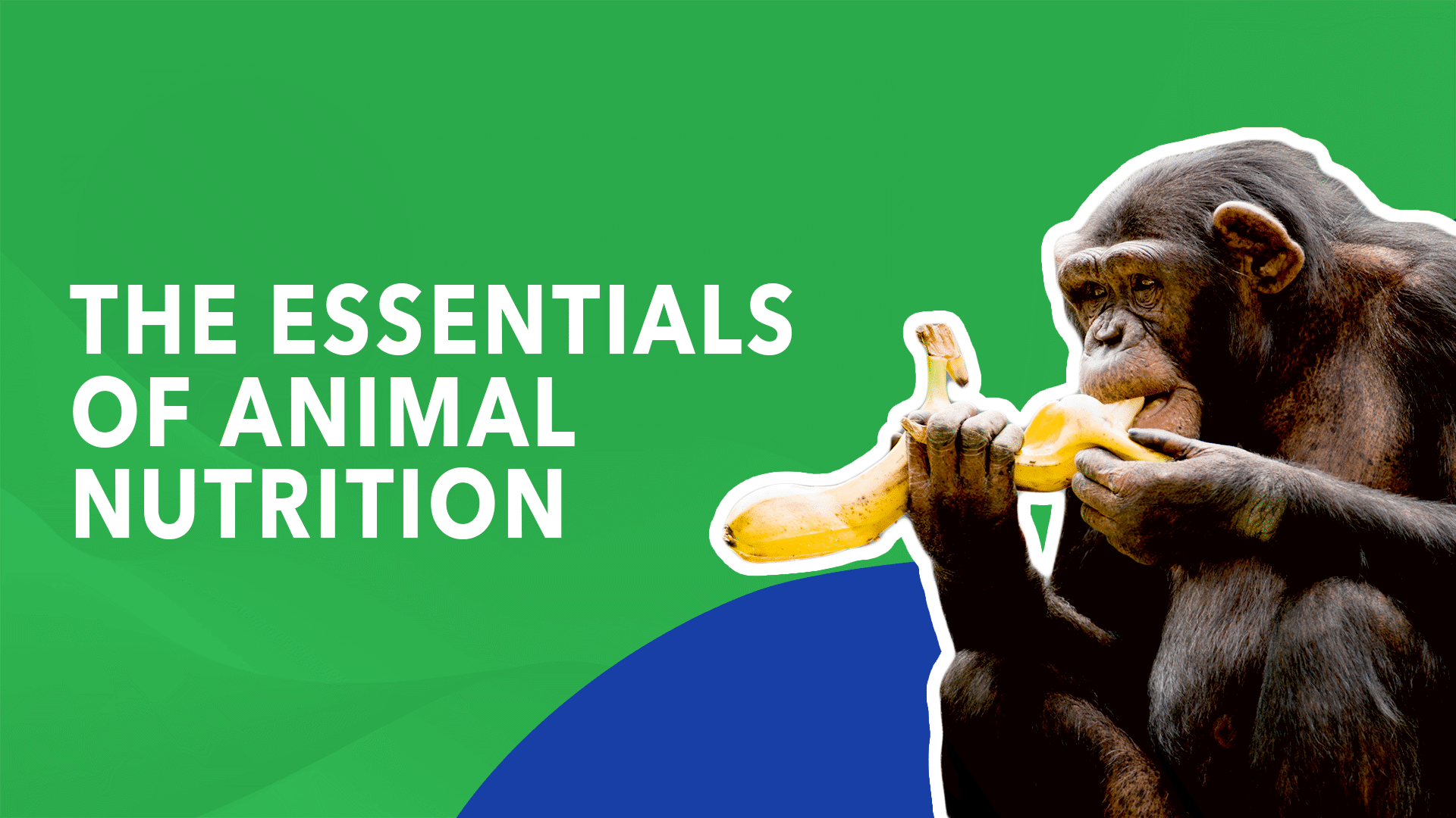The Virginia Zoo presents The Essentials of Animal Nutrition ...