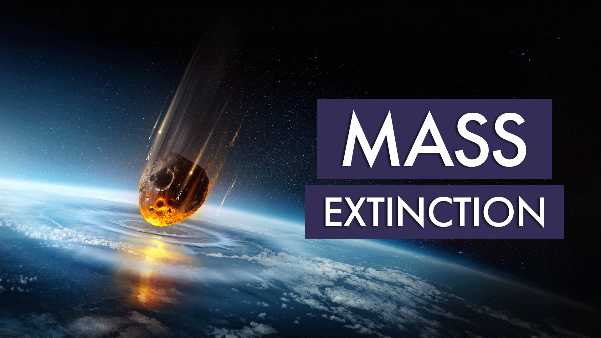 Mass Extinction Video & Resources | ClickView