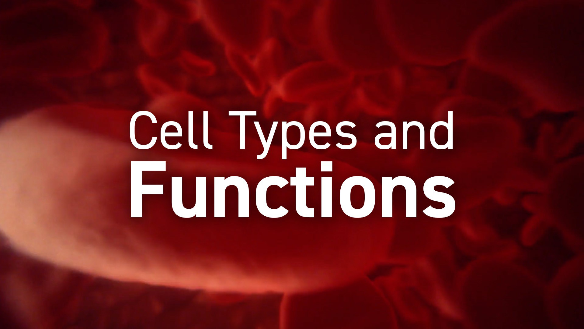 Different Types of Cell Video & Resources | ClickView