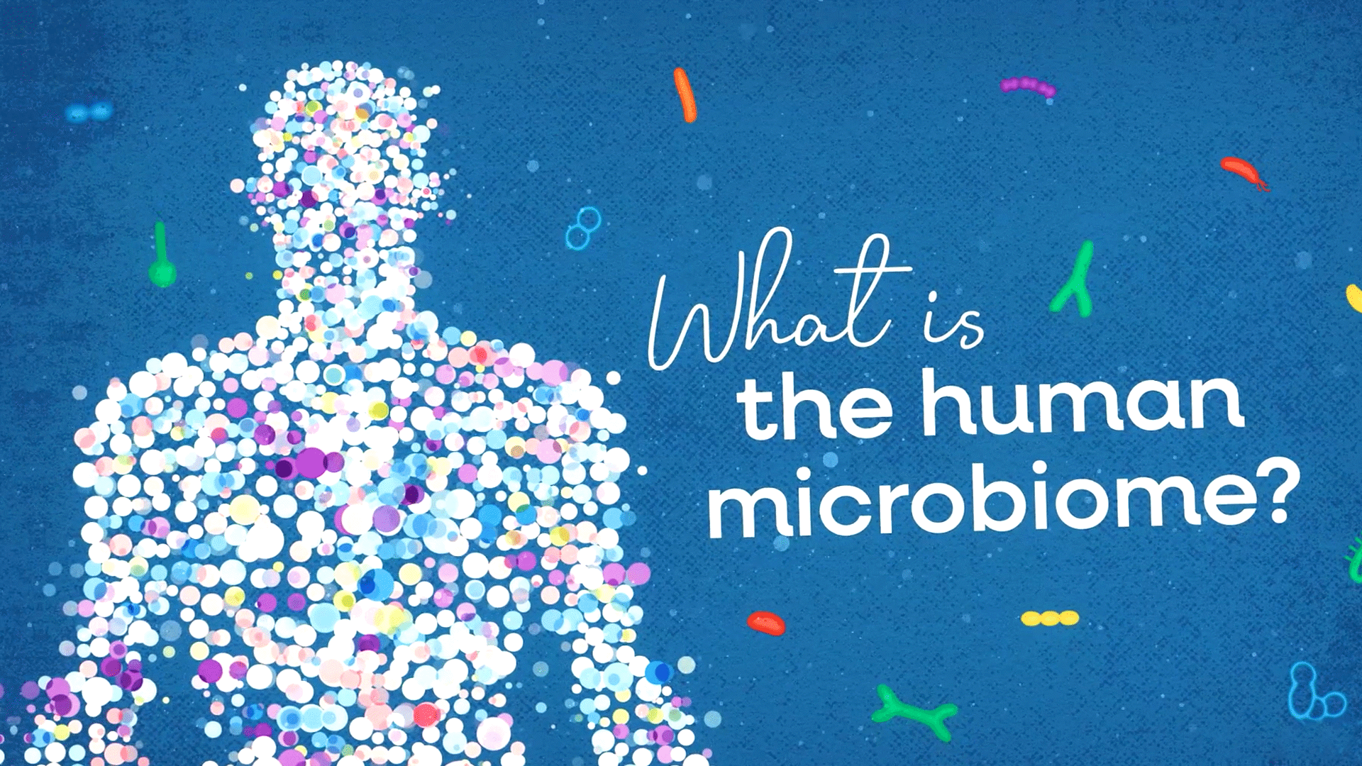 What Is the Human Microbiome? Video & Resources | ClickView