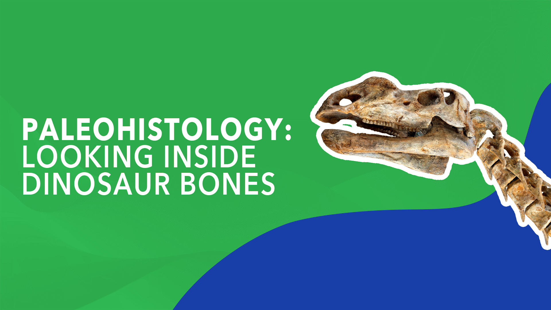 Museum of the Rockies presents Paleohistology: Looking Inside Dinosaur ...