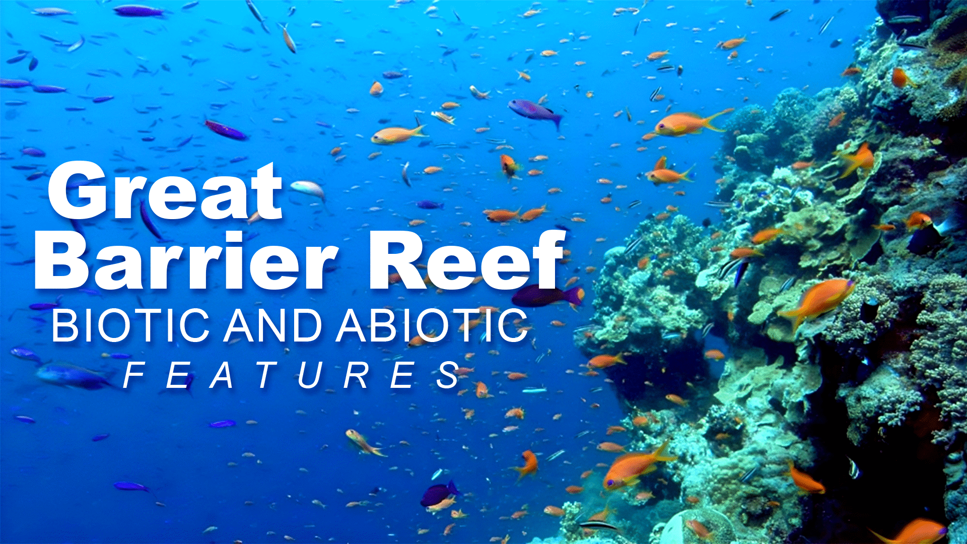 Biomes Videos, Resources & Worksheets | ClickView