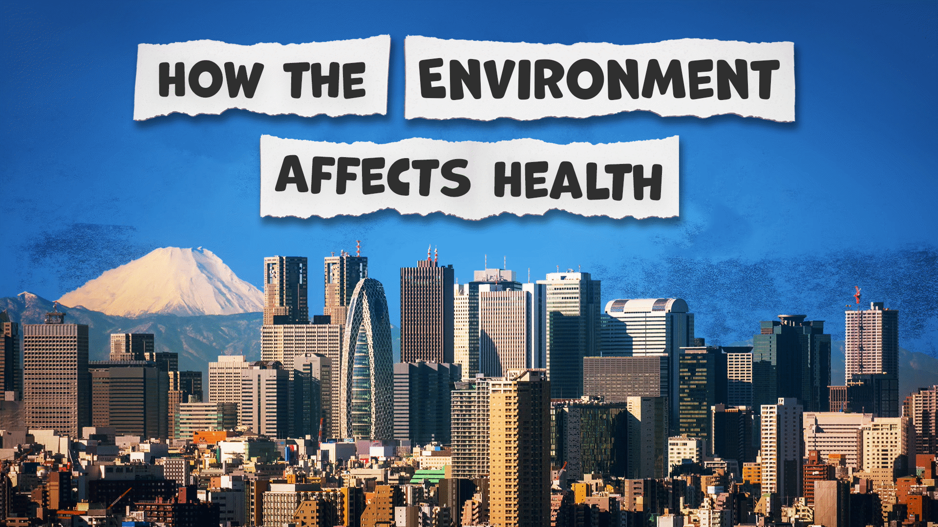 How the Environment Affects Your Health | ClickView