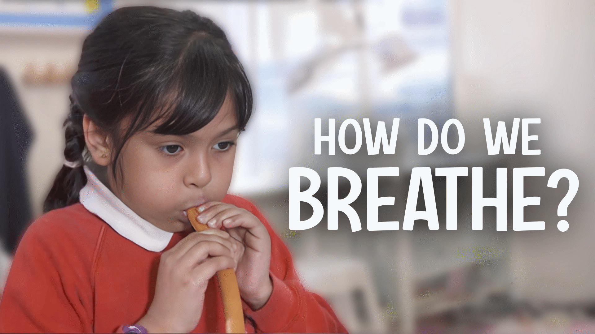 The Human Respiratory System | ClickView