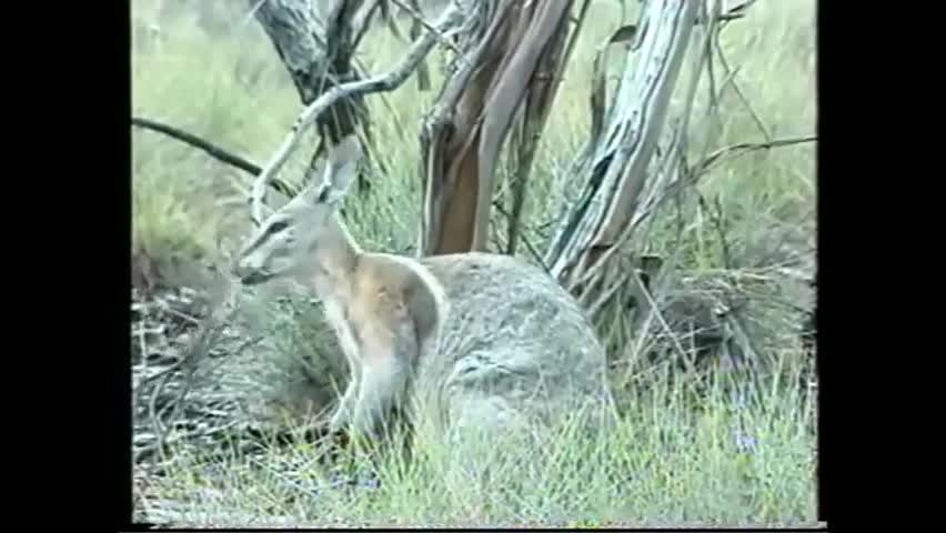 Federation: Part 1 - Looks at the making of a... - ClickView