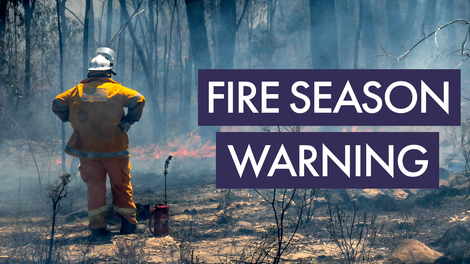 Weather and Climate Videos & Worksheets | ClickView