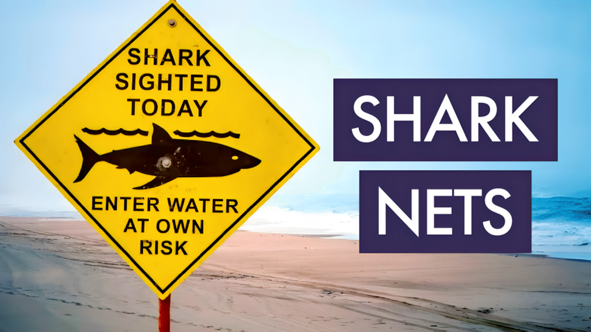 Shark Nets Video & Resources | ClickView