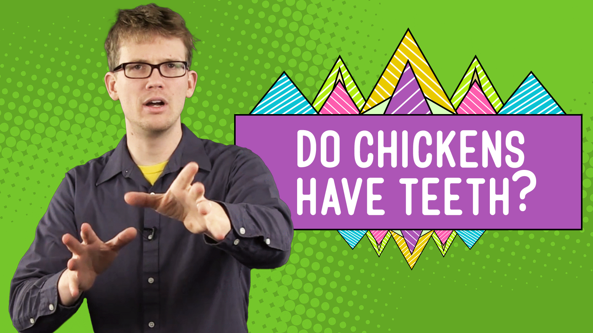 Evolutionary Development: Chicken Teeth | ClickView