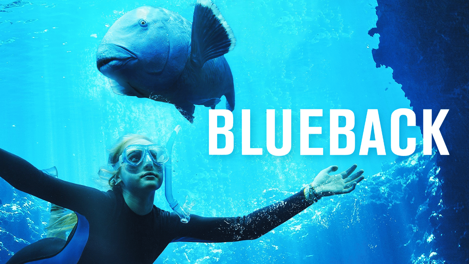 Blueback Video & Resources | ClickView