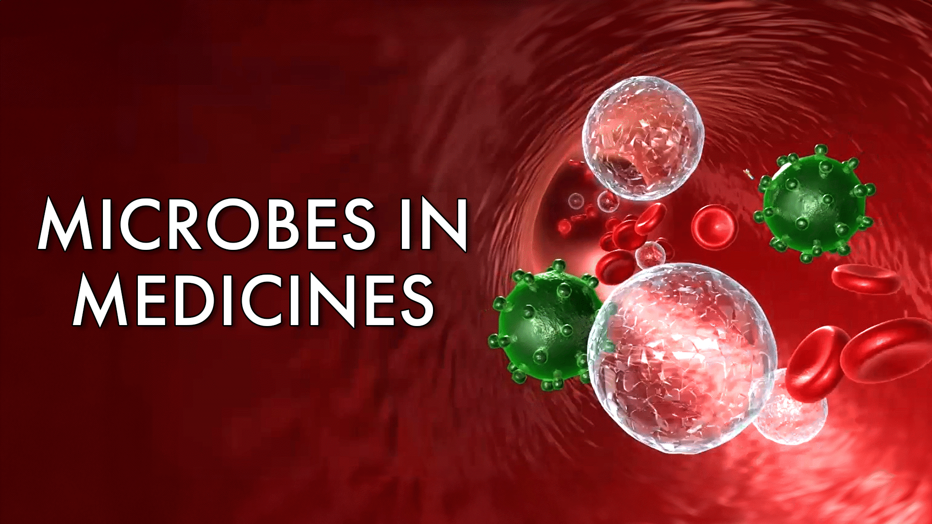 Uses of Microbes in Medicines and Vaccines | ClickView