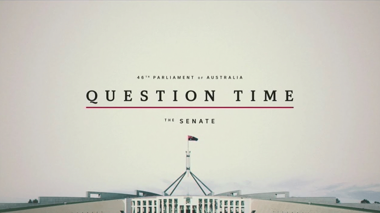 Parliament Question Time - Airs 1:59 PM 20 Aug 2024 on ABCTV HD - ClickView
