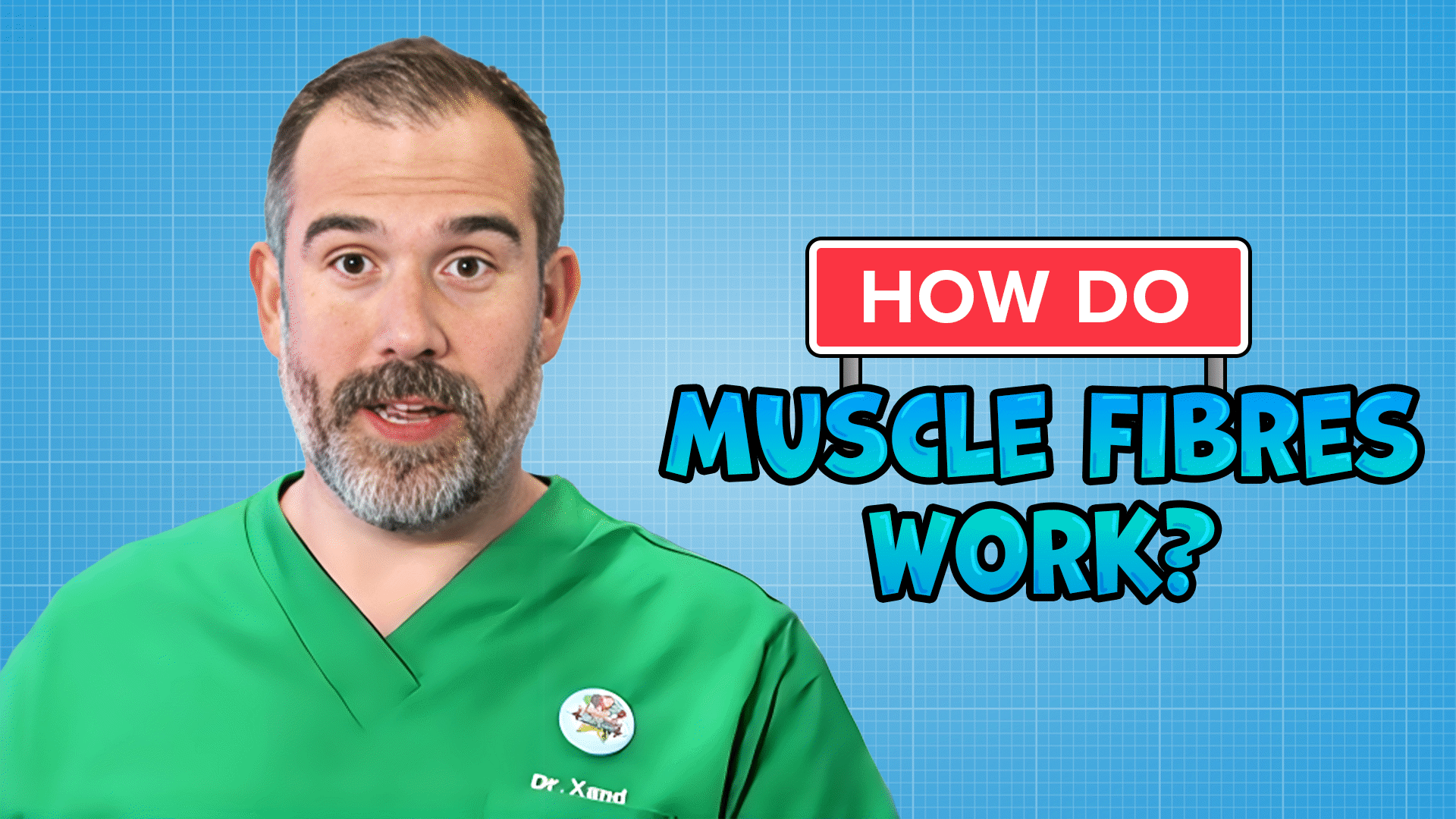 Muscles Video & Resources | ClickView