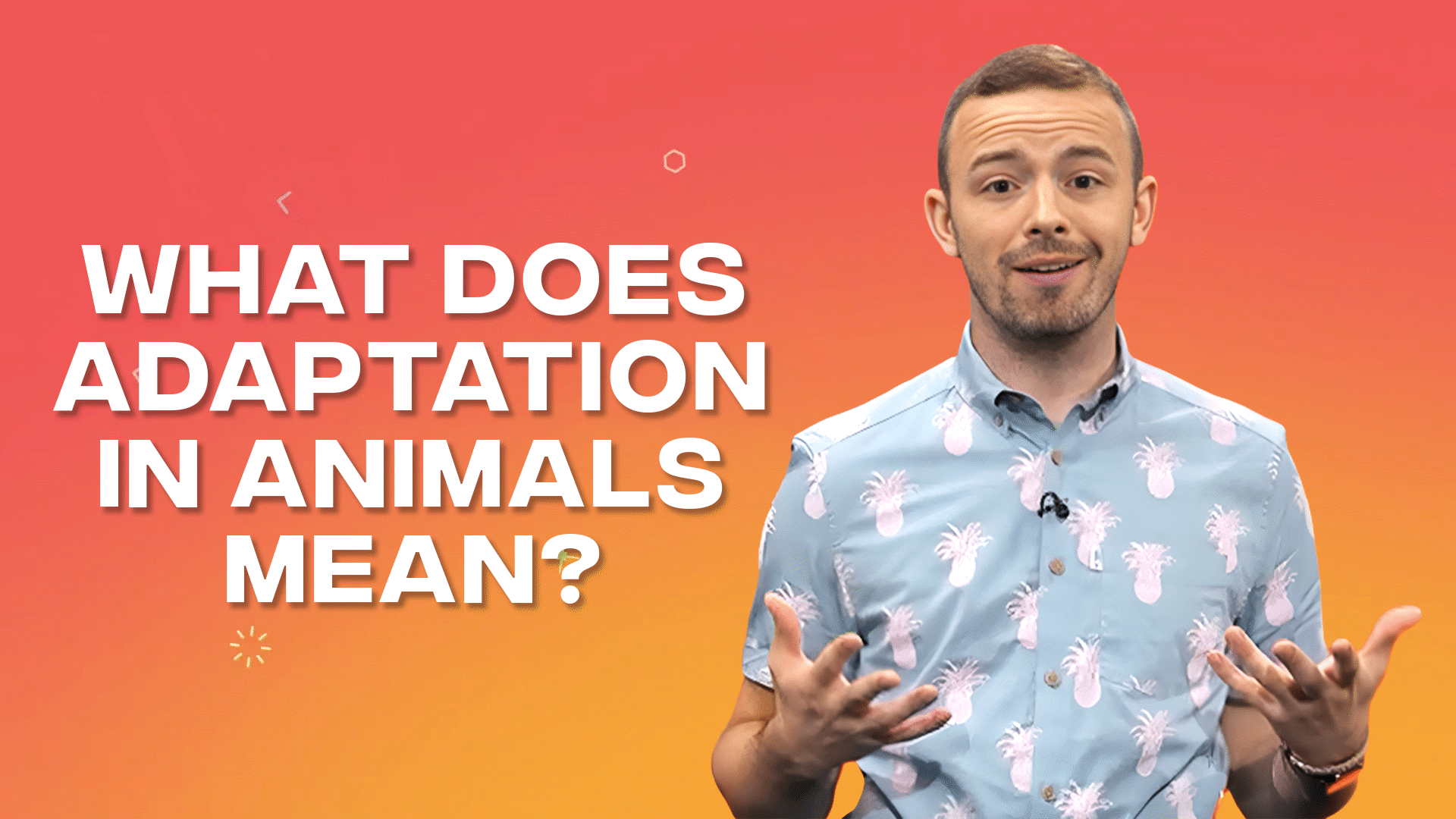 BBC Bitesize Daily: Primary Videos & Resources | ClickView