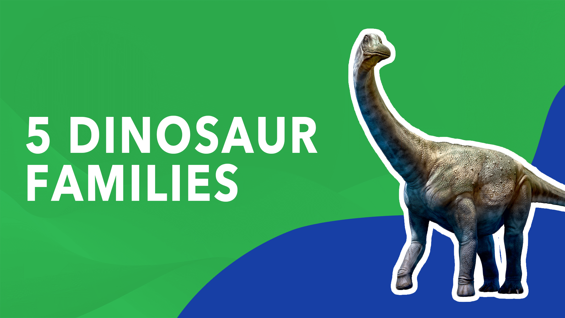 Museum of the Rockies presents The 5 Dinosaur Families | Streamable ...