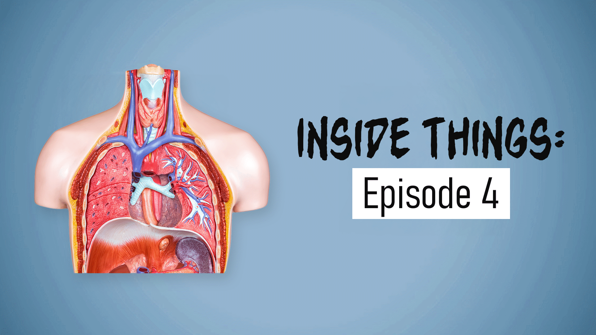 Discover New Secondary Videos & Resources | ClickView