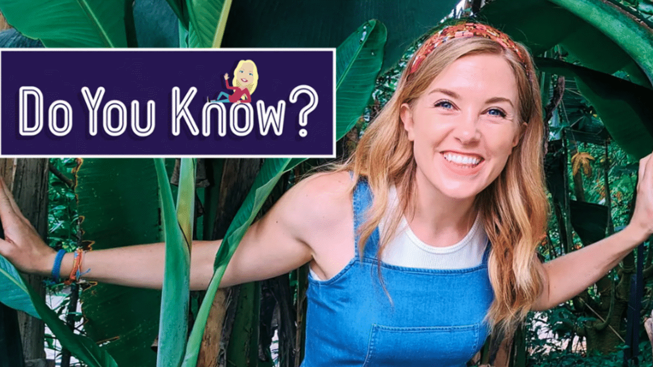 Maddie’s Do You Know? - Airs 10:22 AM 11 Mar 2024 on ABC ME - ClickView