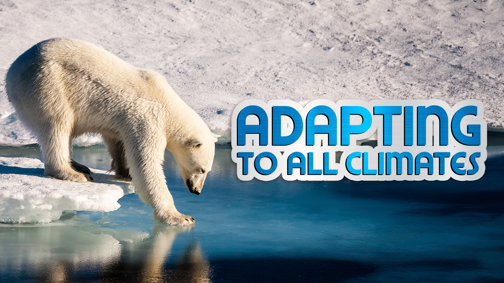 Climate Adaptations Video & Resources | ClickView