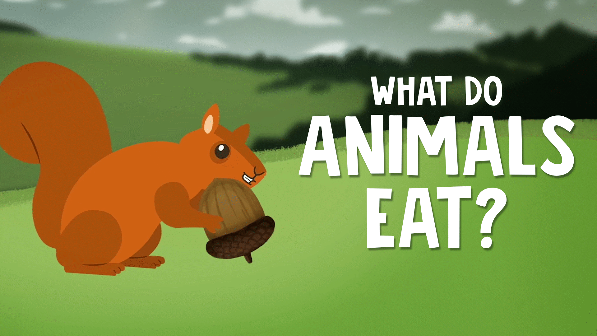 What Types of Food Do Animals Eat? | ClickView