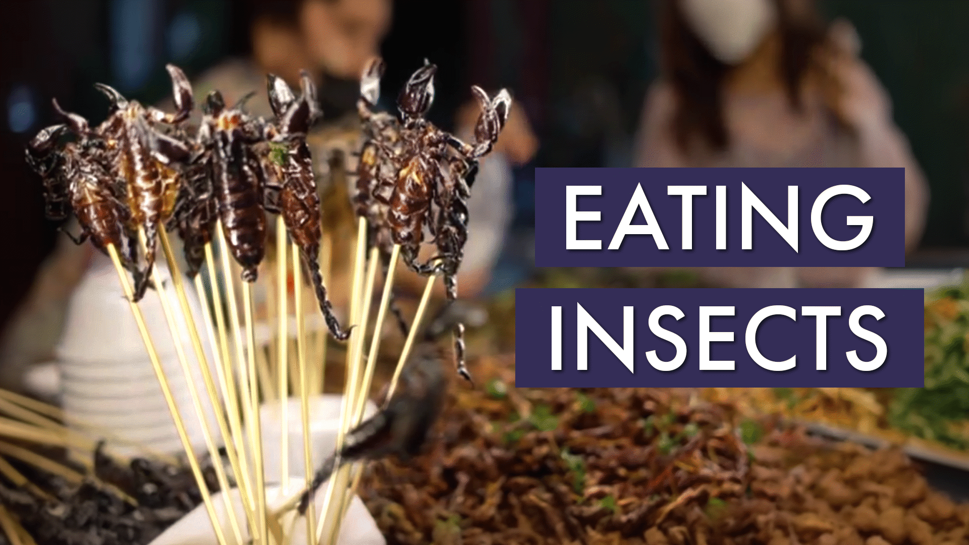 Primary Videos, Resources & Worksheets | ClickView