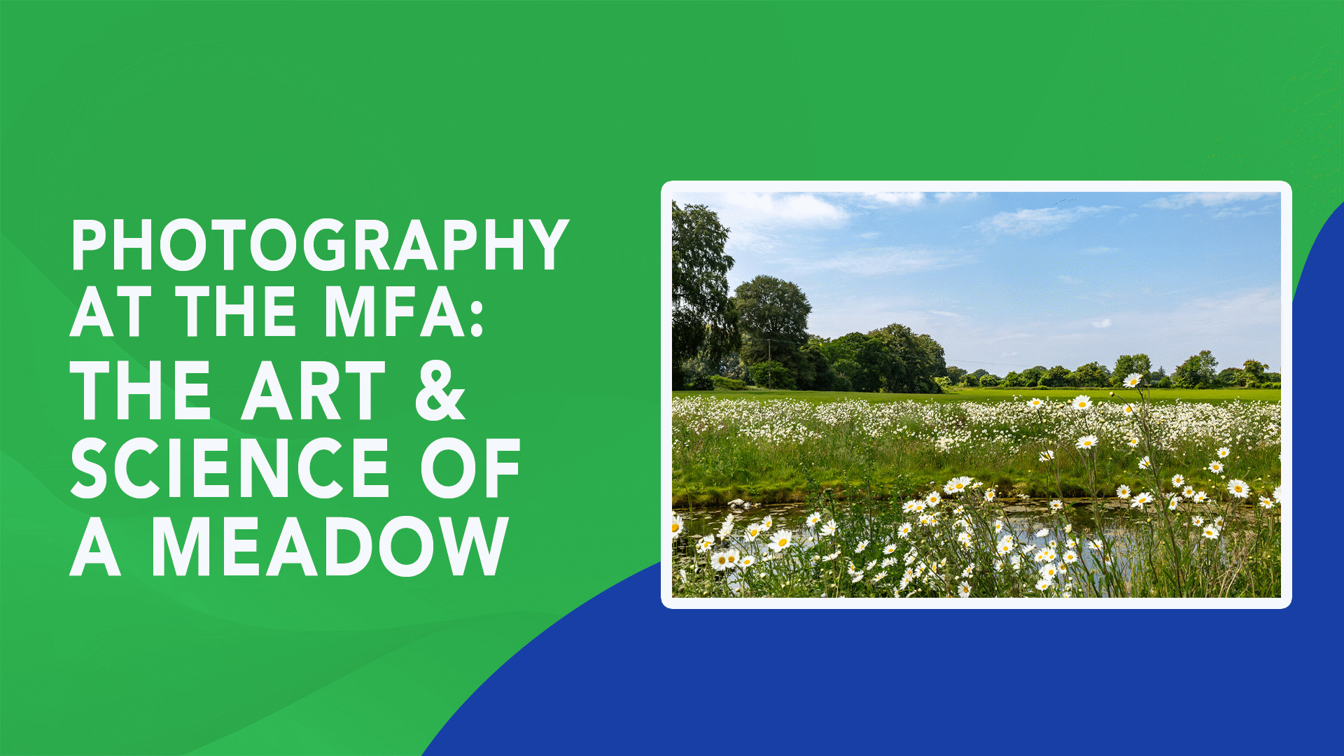 Photography at the MFA: The Art & Science of a Meadow | Streamable Learning