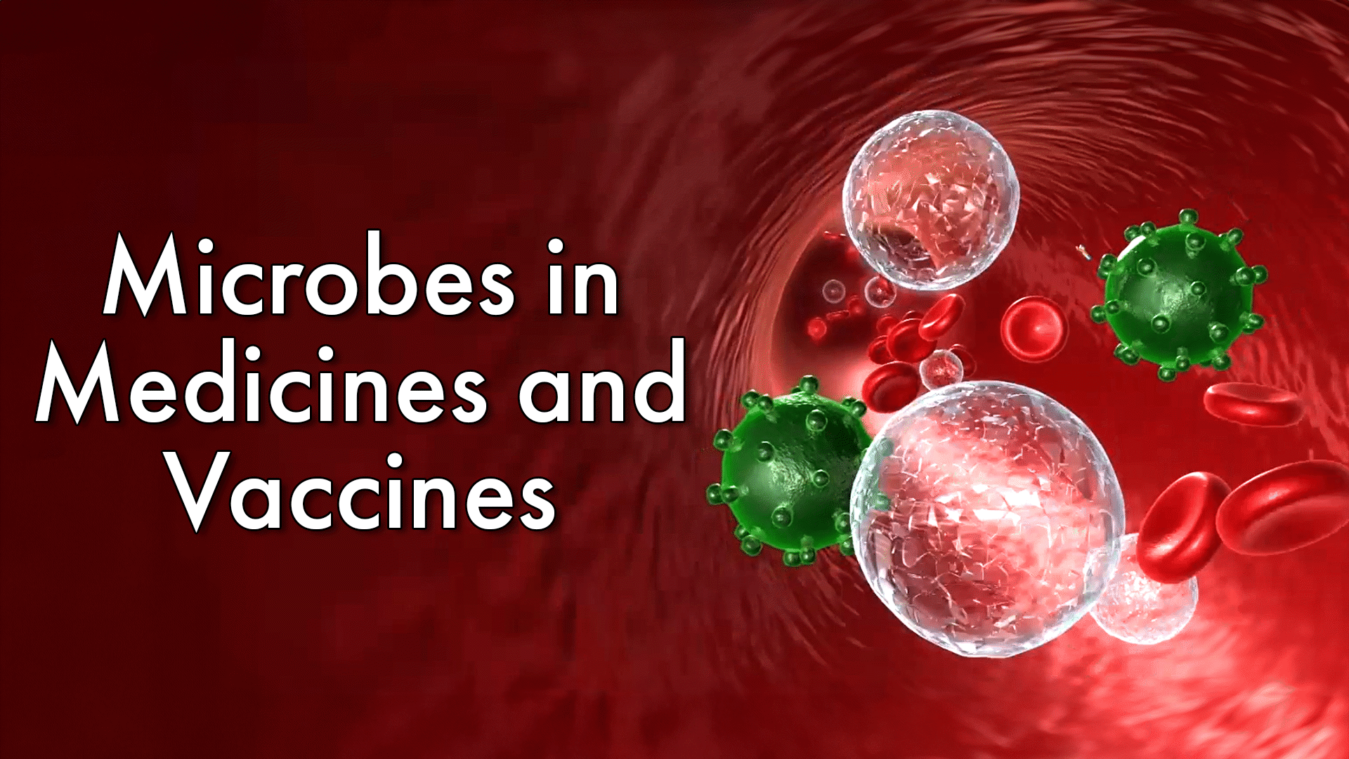 Uses of Microbes in Medicines and Vaccines | ClickView