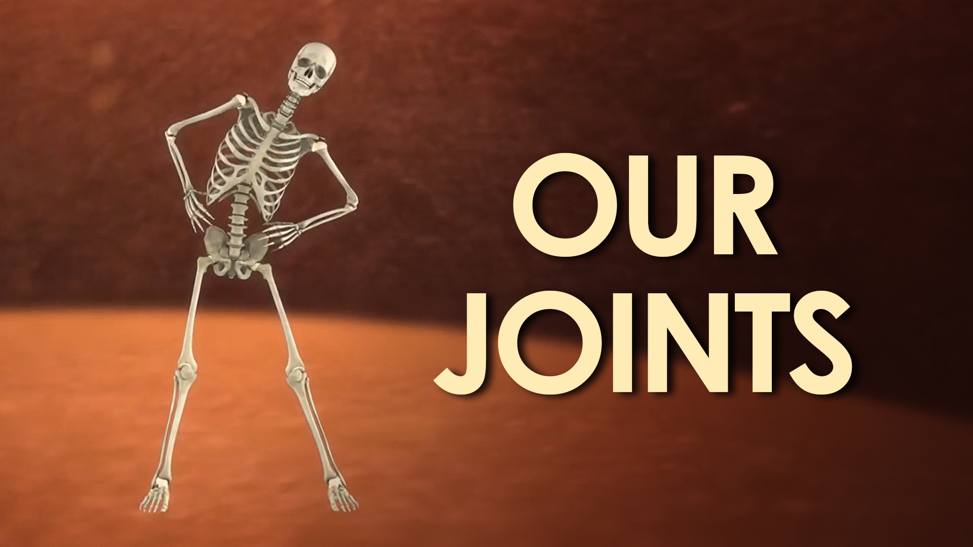 Our Skeletal System Videos Resources Clickview