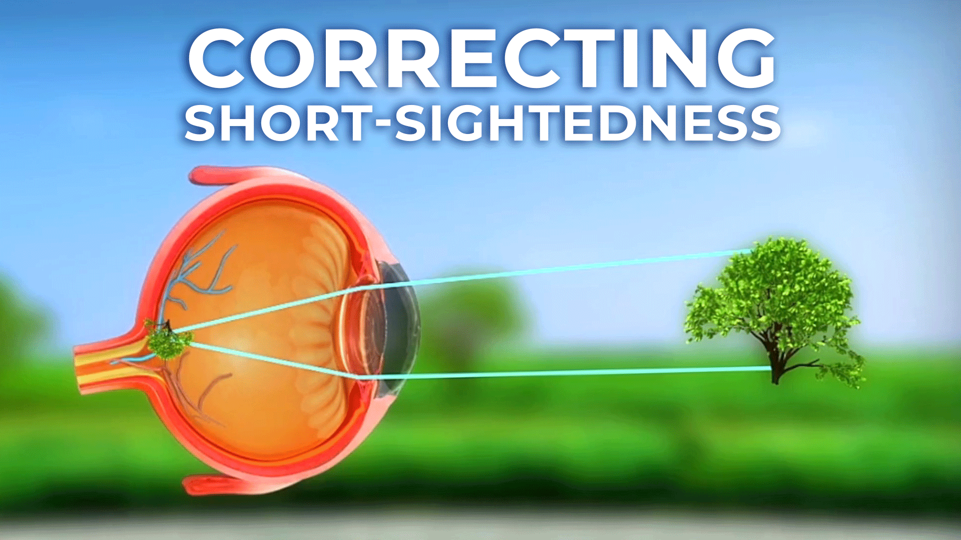 Light Videos, Resources & Worksheets | ClickView