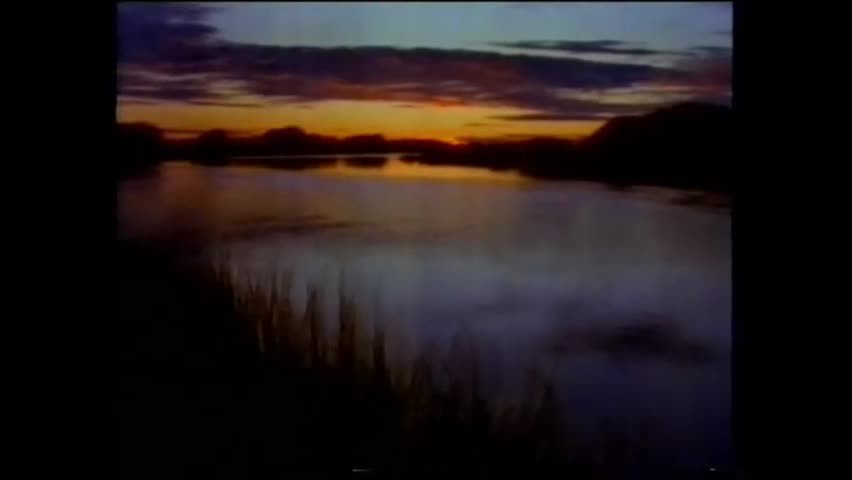 Maths Magic - Math magic tricks can liven up... - ClickView