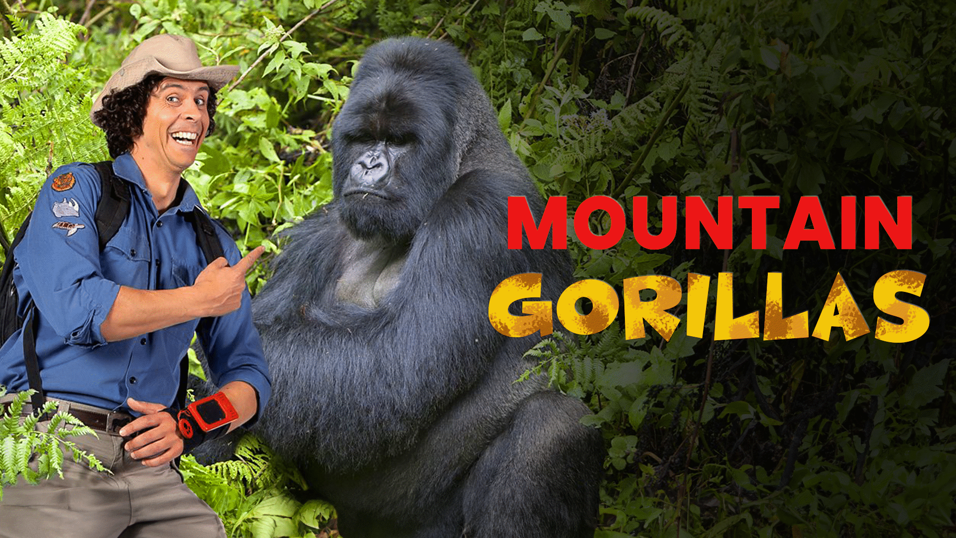 Andy's Wild Adventures Videos & Resources | ClickView