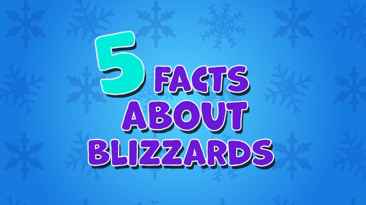 High Five Facts Natural Disasters Clickview 7334
