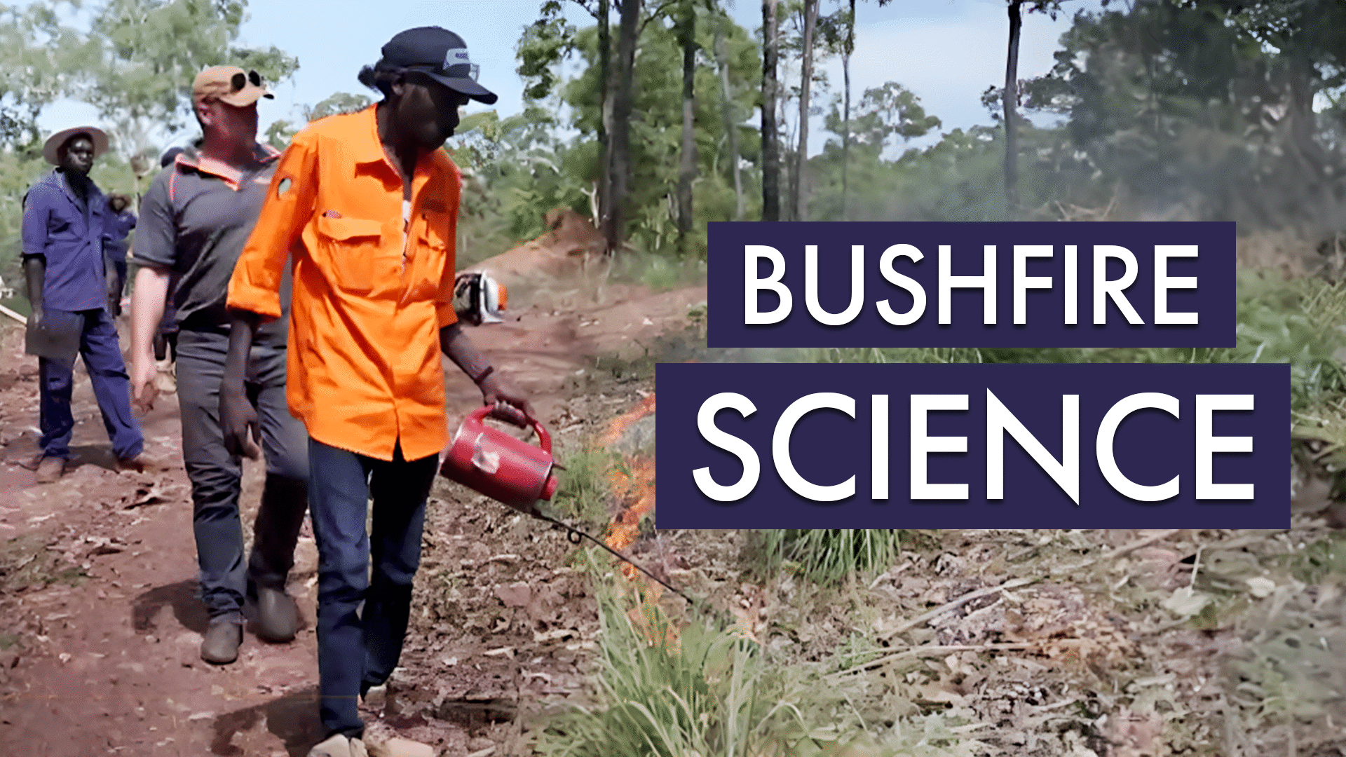 Bushfire Science Video & Resources | ClickView