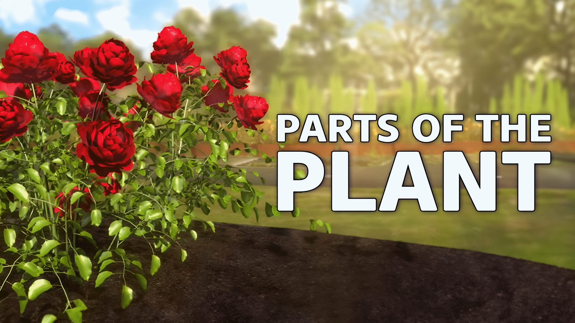 Understanding Life Systems: Growth and Changes in Plants | ClickView