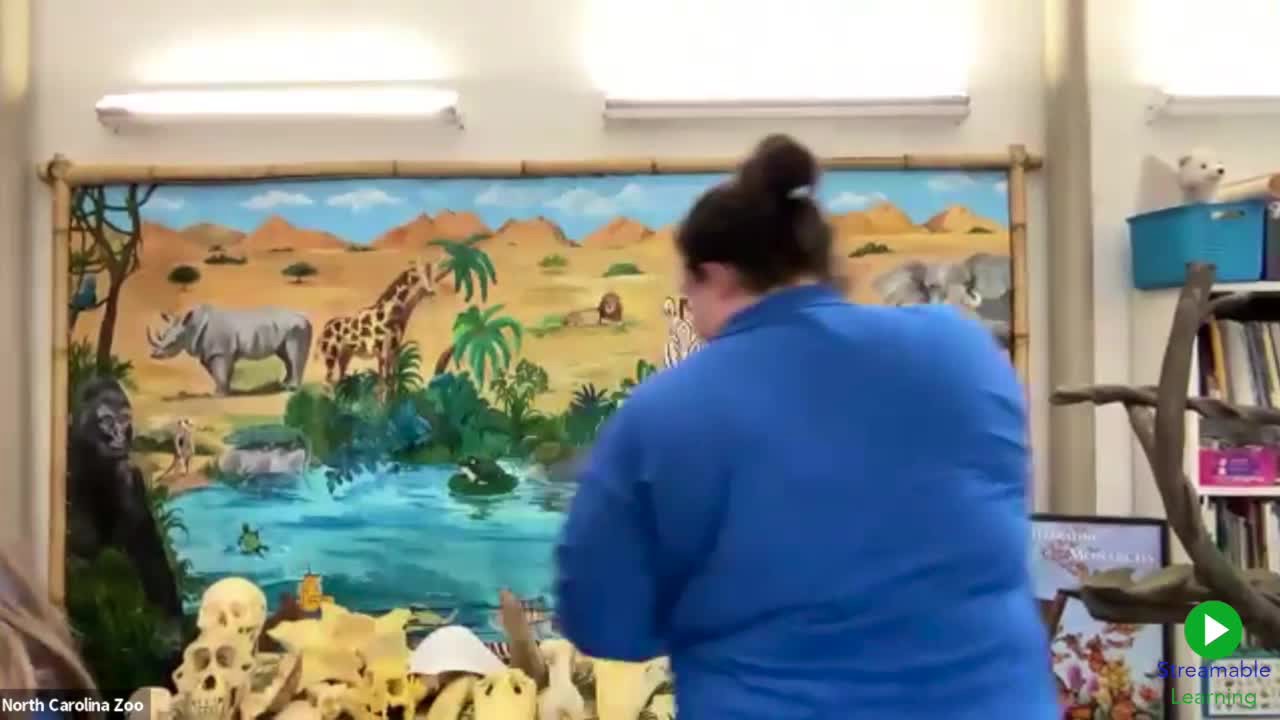 North Carolina Zoo Video Field Trips | Streamable Learning