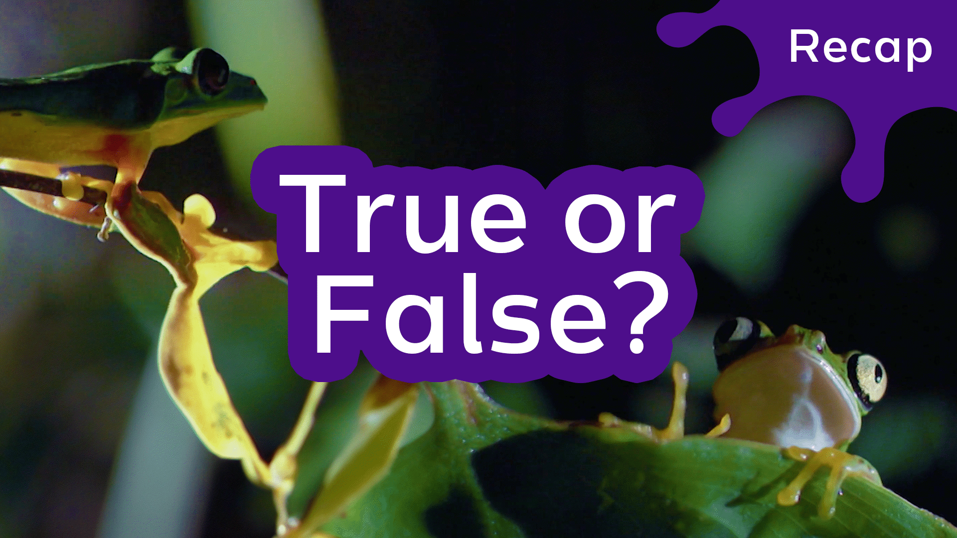 Humans and Other Animals | ClickView