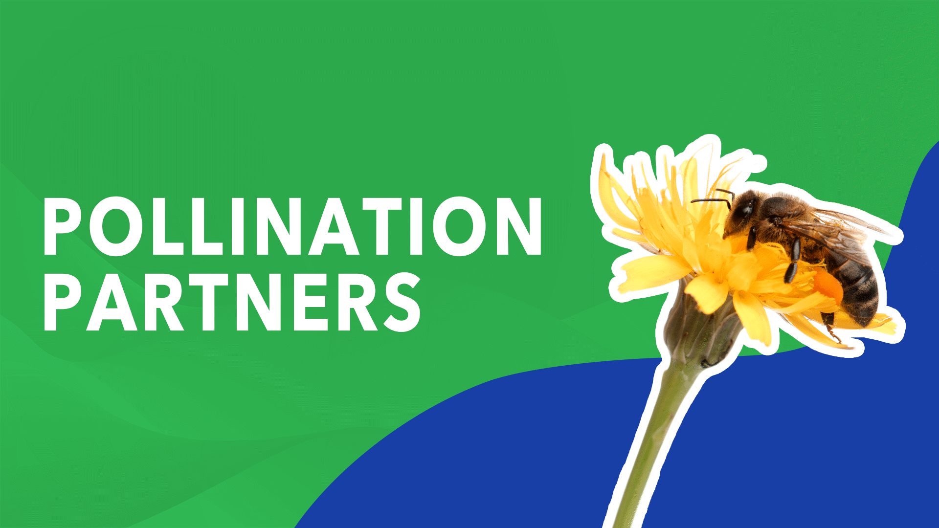 Pollination Partners Recording | Streamable Learning