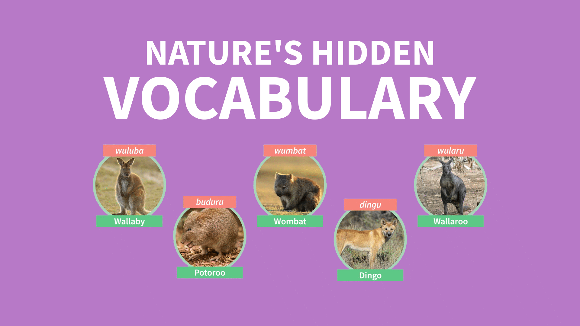 How First Nations Peoples Classified Their Environment | ClickView