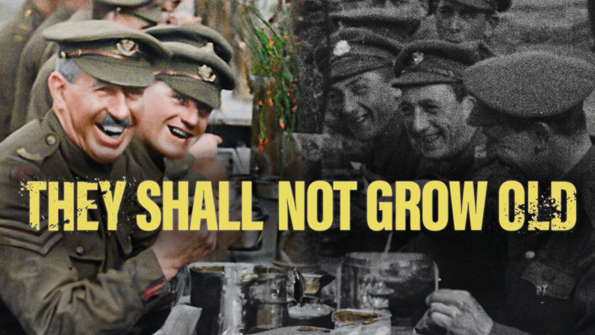They Shall Not Grow Old Video & Resources | ClickView